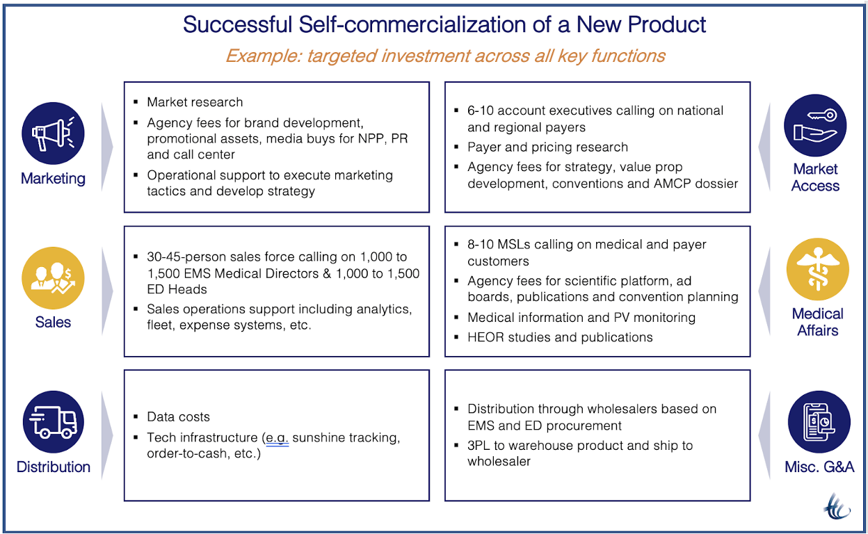 Drug Launch Strategies for Market Success